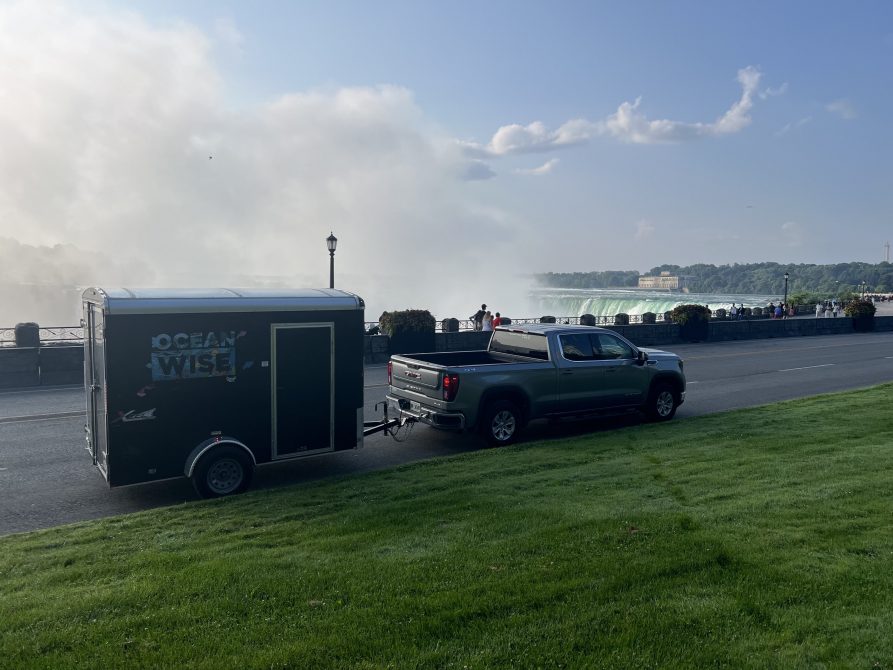 Arctic Adaptations: Survival in Extreme Temperatures - Ocean Wise