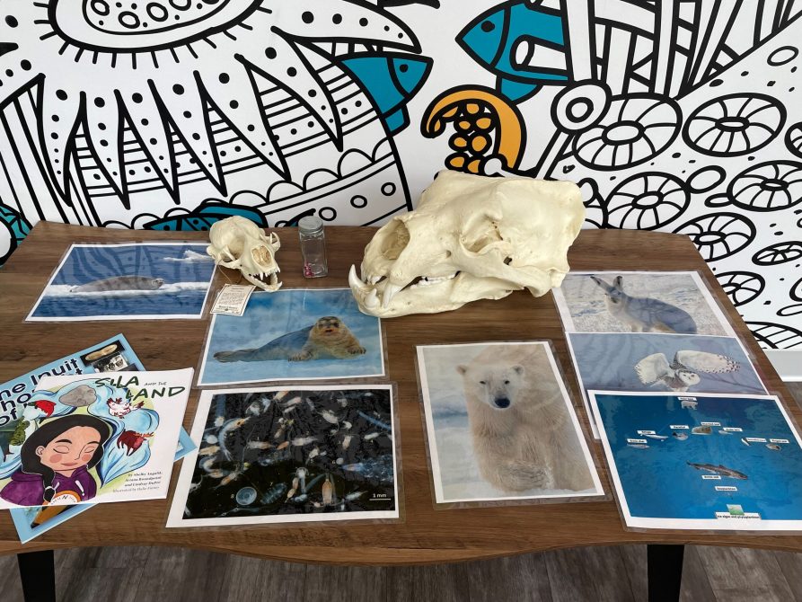 Discovery Kits - Ocean Wise