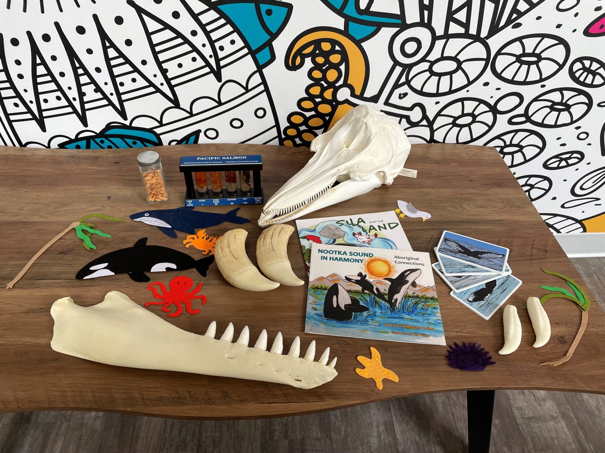 Discovery Kits - Ocean Wise