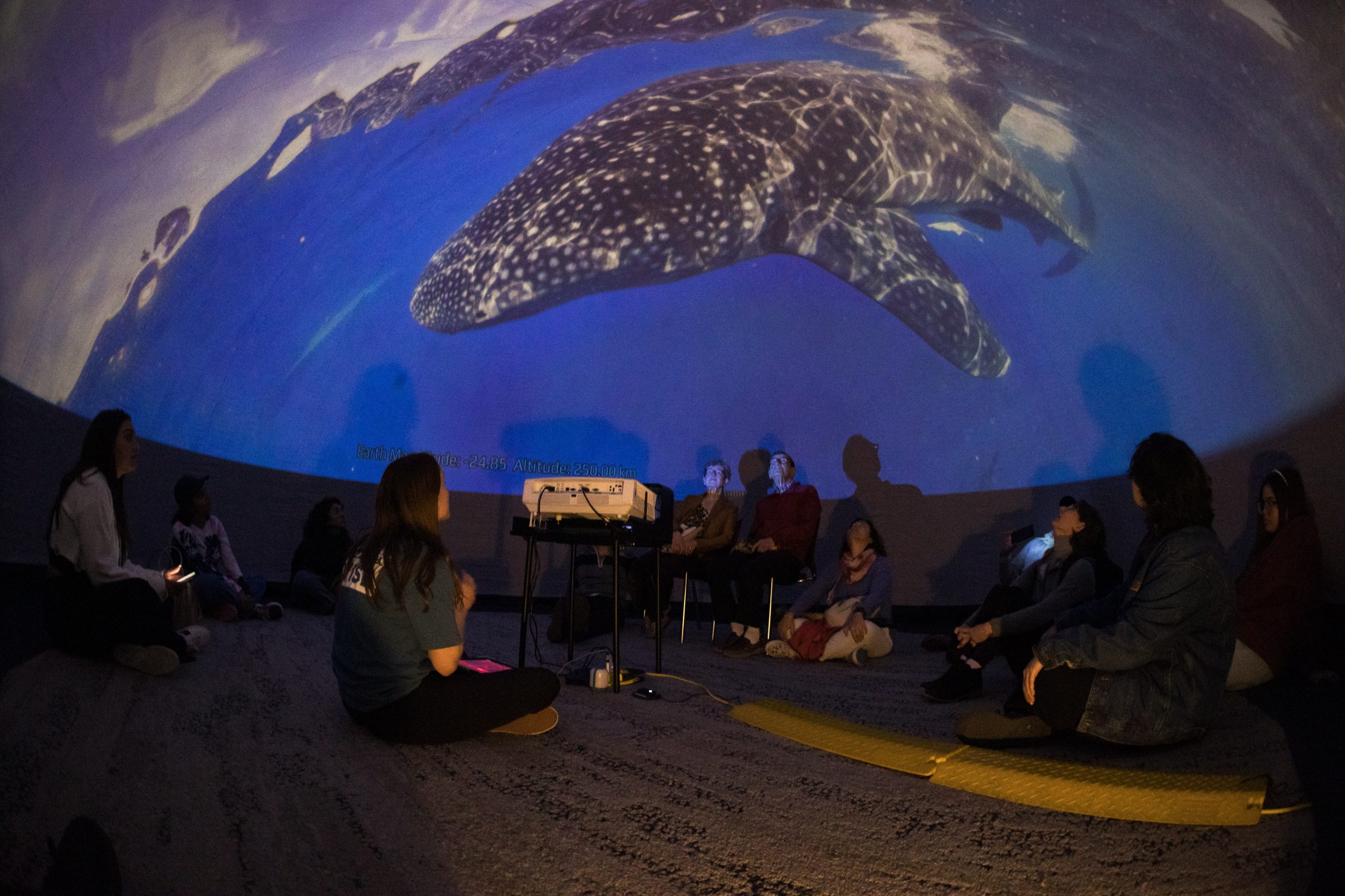 Ocean Wise Sea Dome at the Ontario Science Centre - Ocean Wise