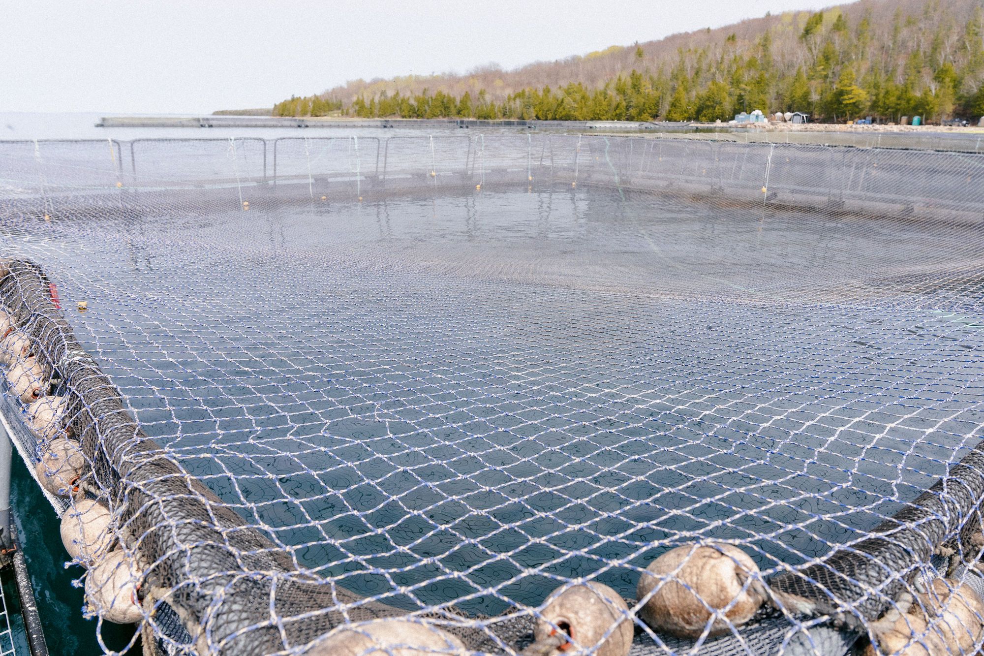 From Freshwater to Activism: Ocean Bridge Ambassadors Unite in ...