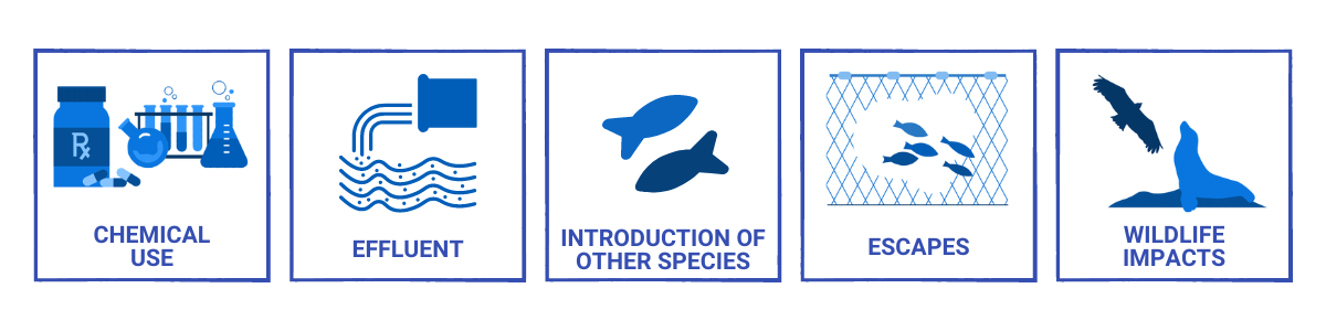 Our Standard and Assessments - Ocean Wise