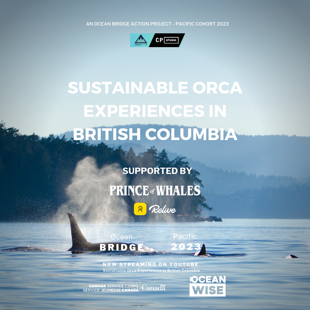 Sustainable Orca Experiences in British Columbia - Ocean Wise