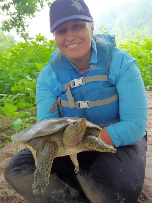 A Day in the Life of an Ocean Pathways Ambassador: Spiny Softshell ...