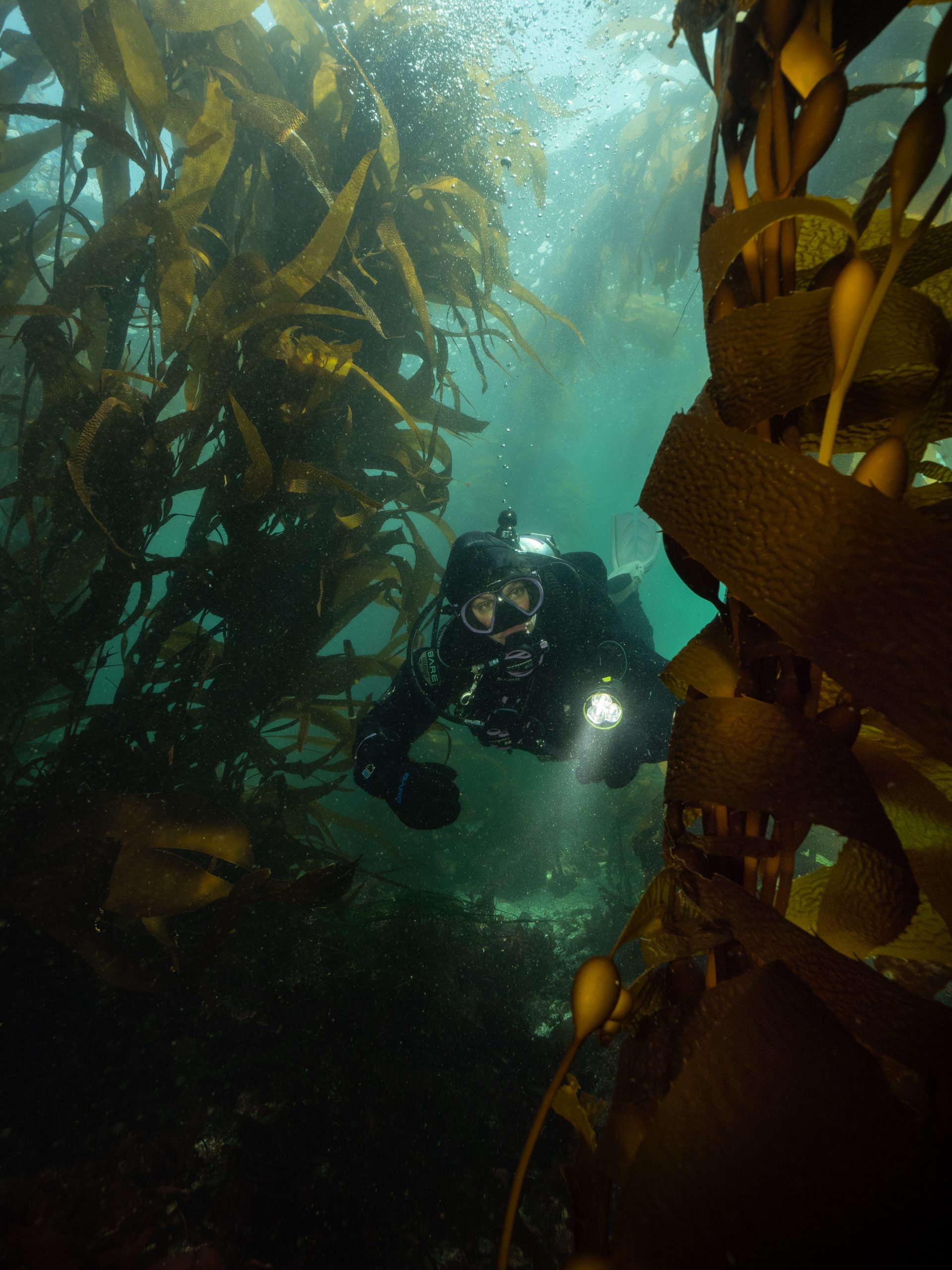 8 Ways We Changed the World in 2023 - Ocean Wise