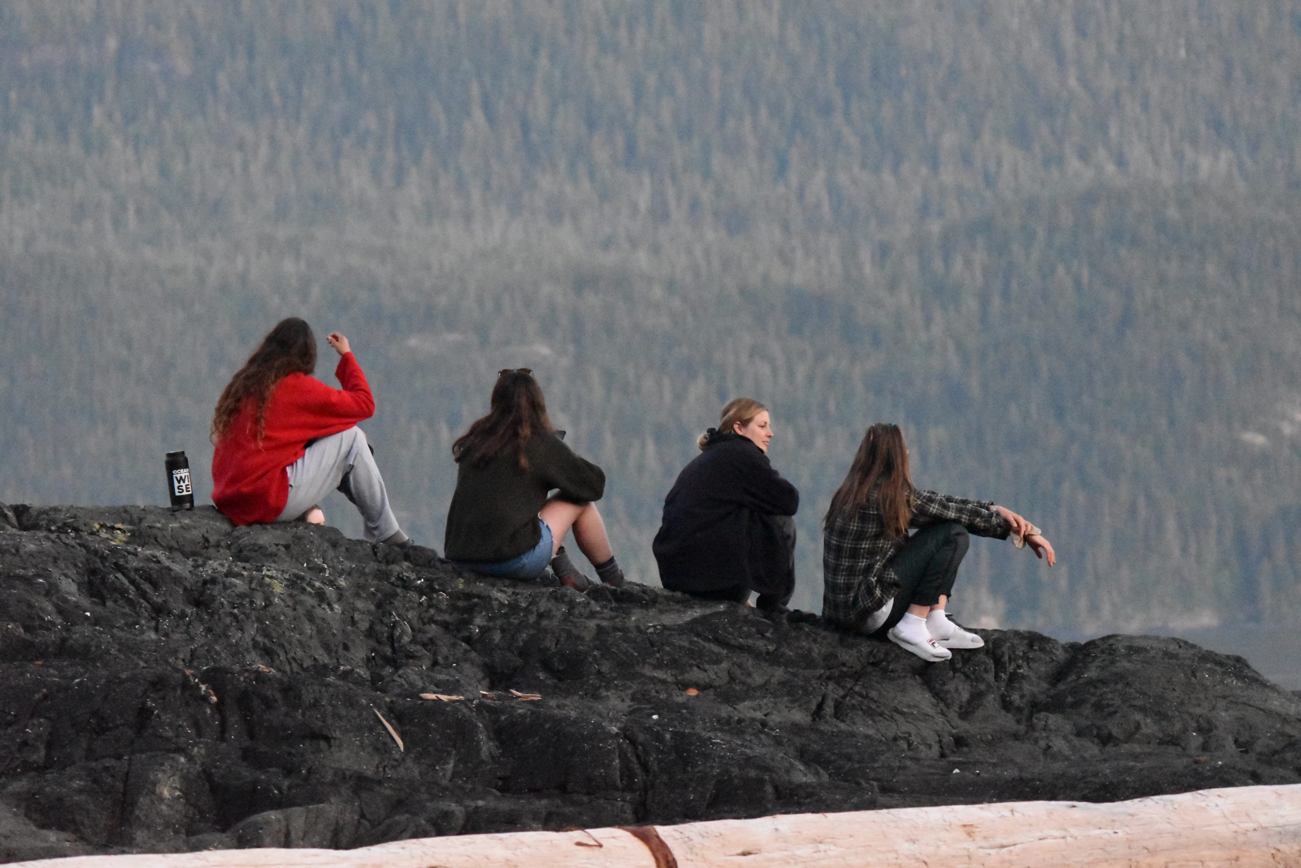CETUS - Robson Bight Warden Program - Ocean Wise
