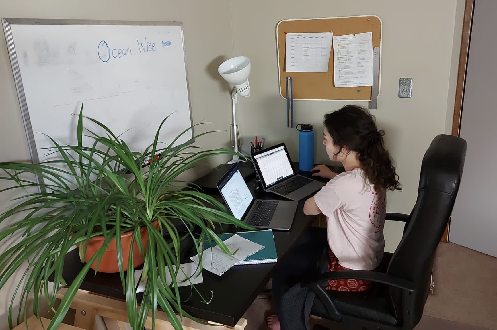 Parks Canada - Great Lakes Aquatic Invasive Species - Ocean Wise