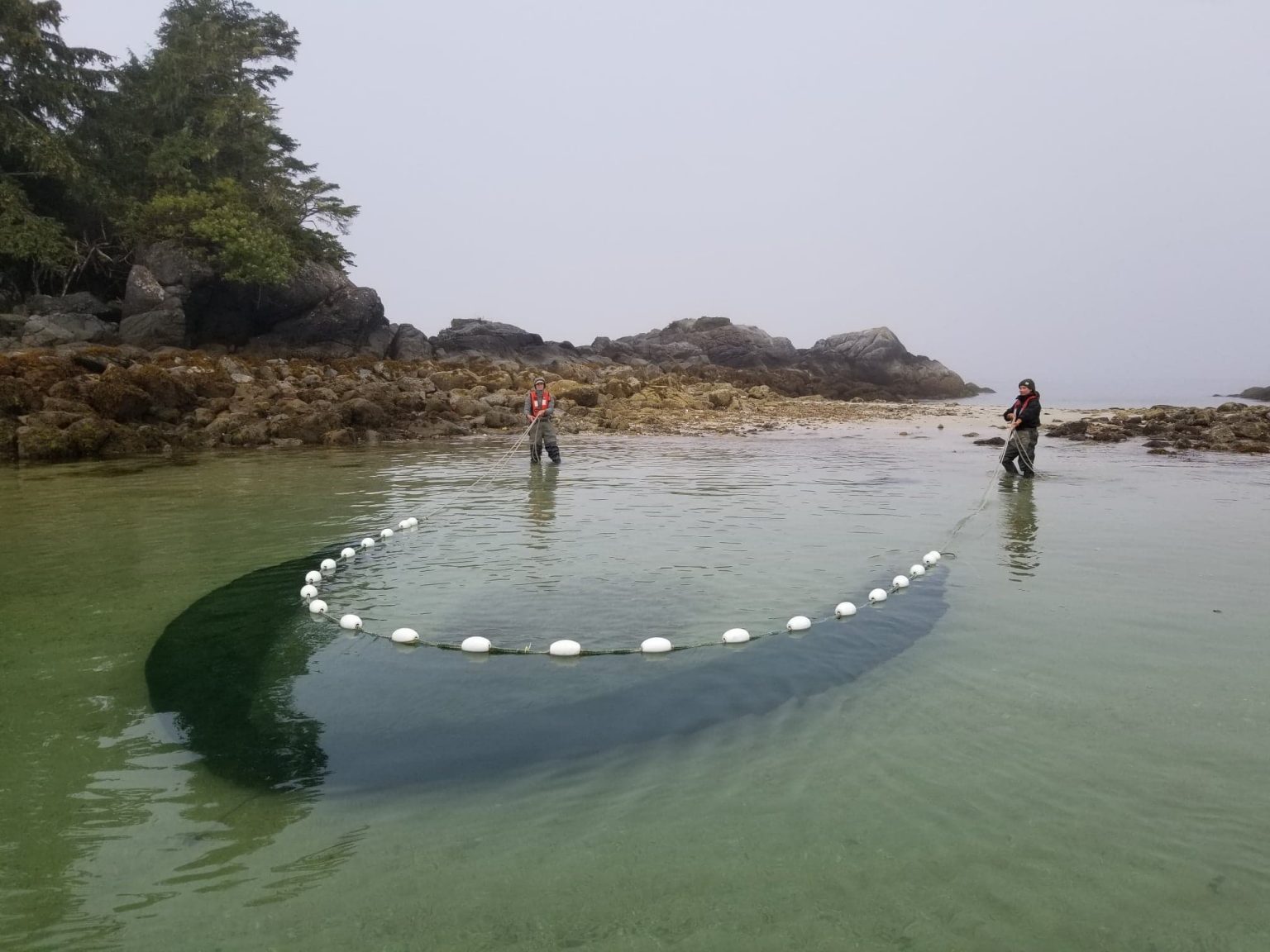 Parks Canada – Pacific Rim National Park Reserve - Ocean Wise