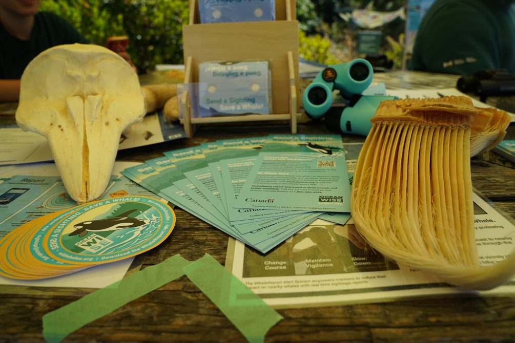 Ocean Wise - Sightings Network (OWSN) - Ocean Wise