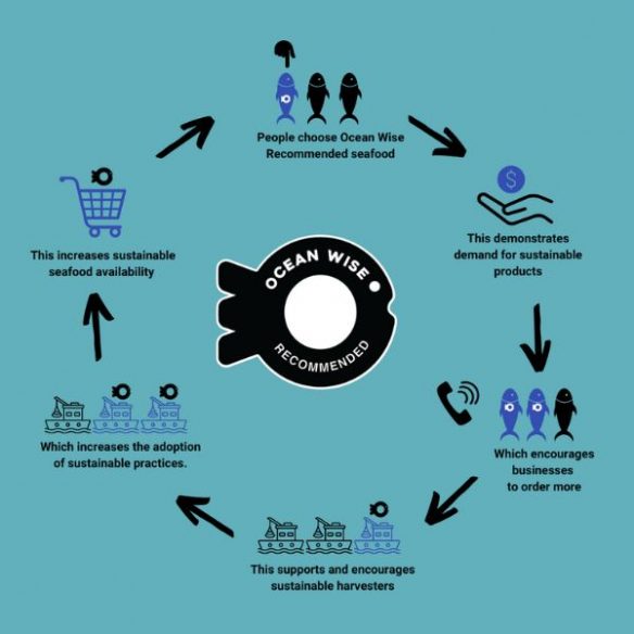 Eco-Labels and Sustainable Seafood: The Power of RAPSTA