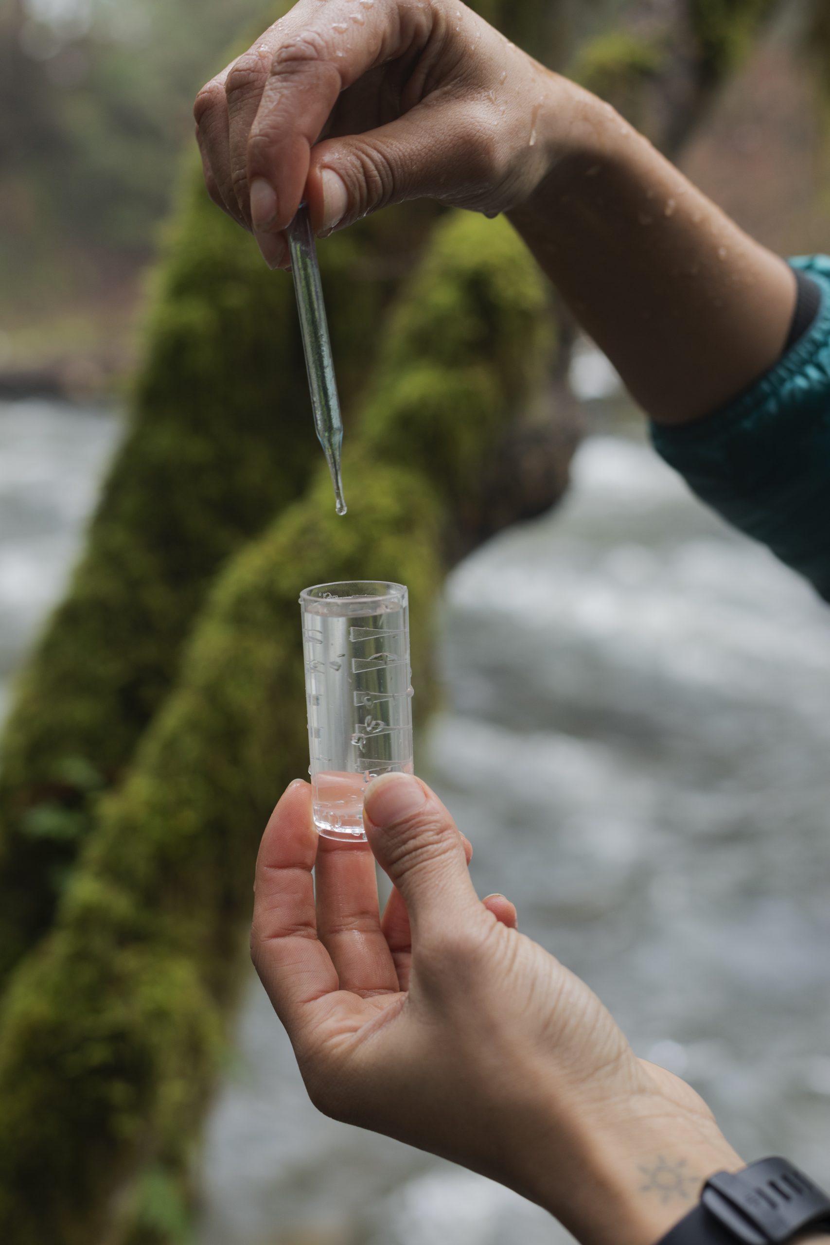 Kitsucksus Creek Water Testing - Ocean Wise