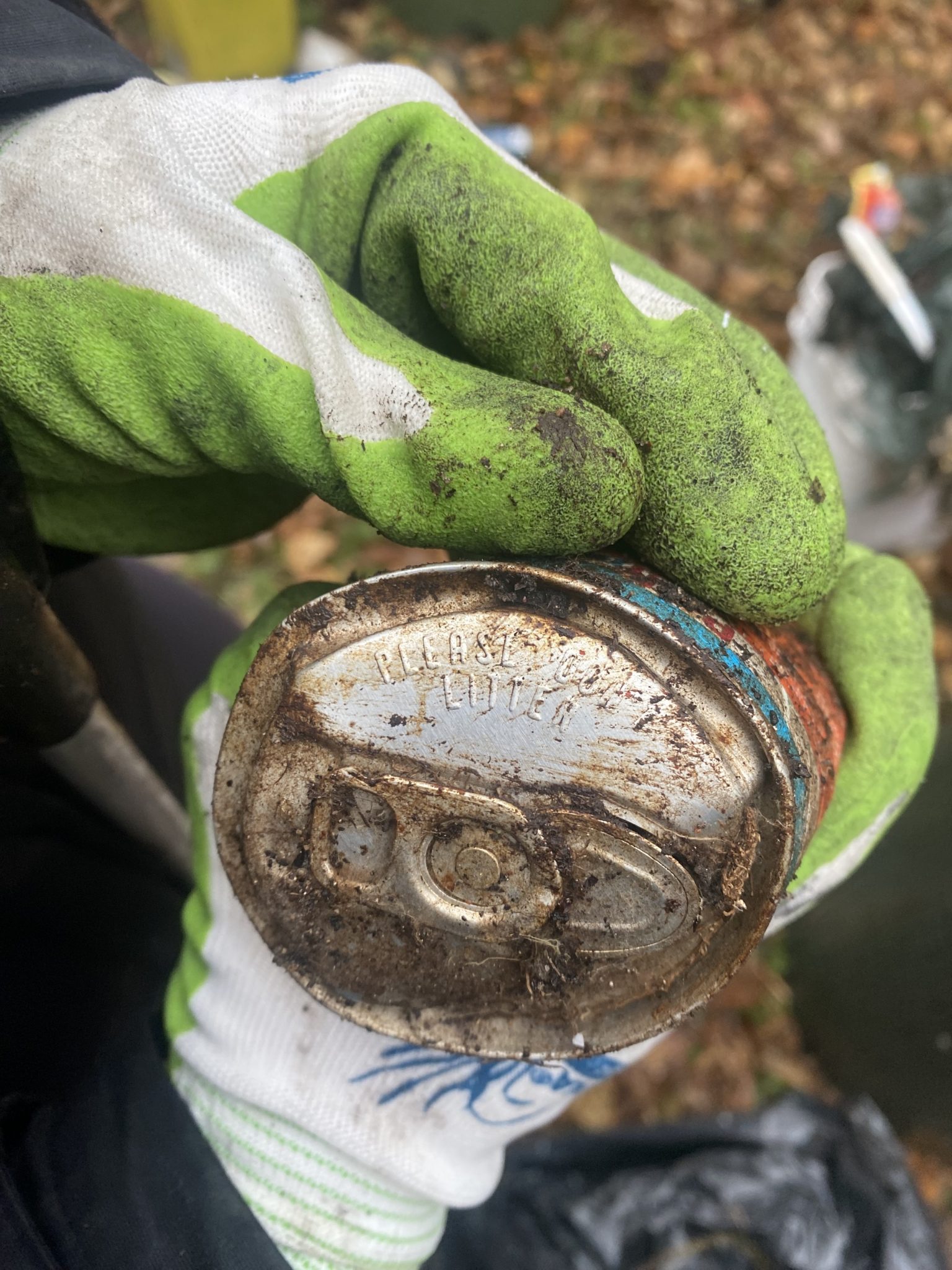 Virtual Shoreline Cleanup - Ocean Wise