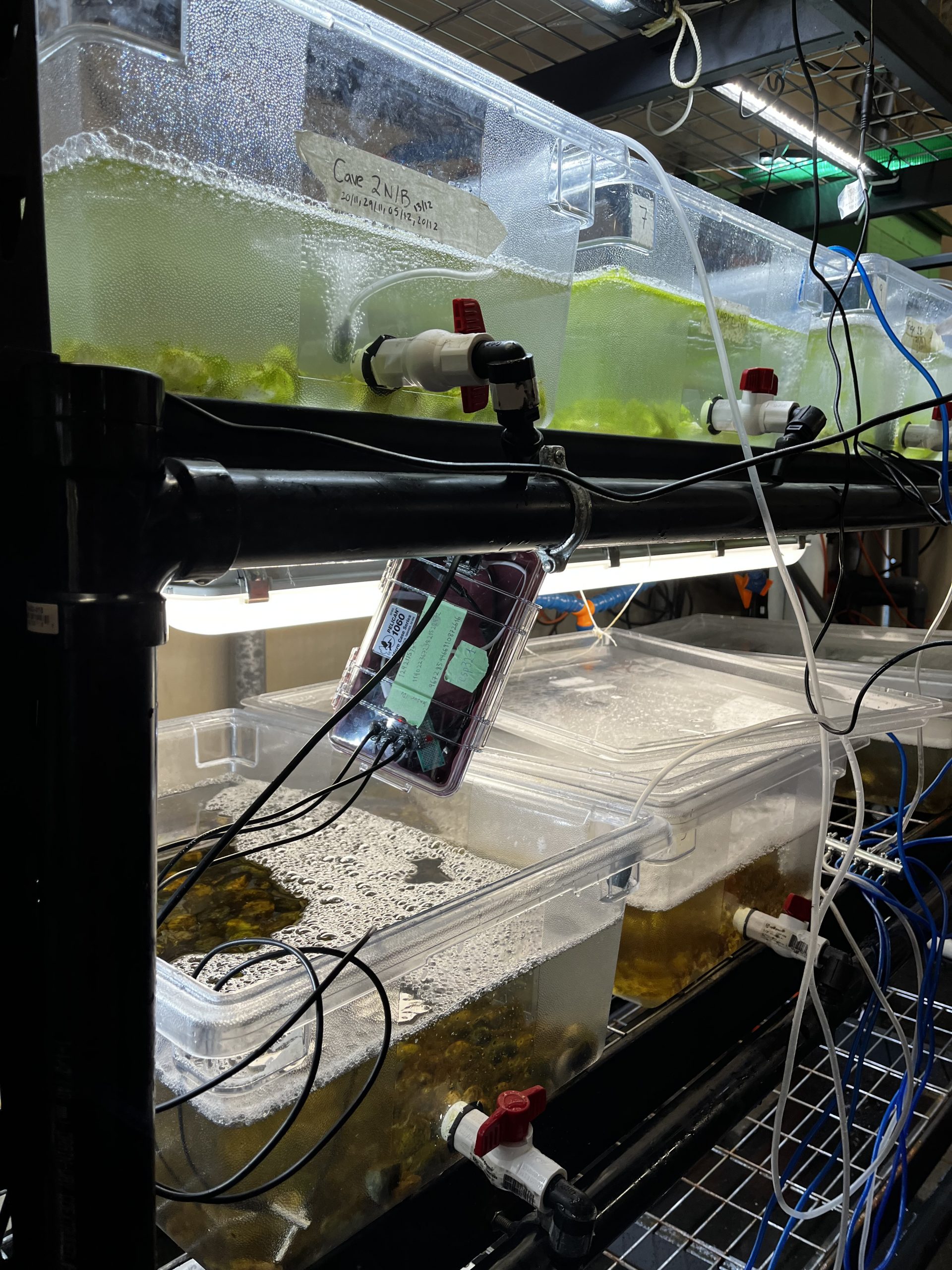 Water Monitoring - Ocean Wise