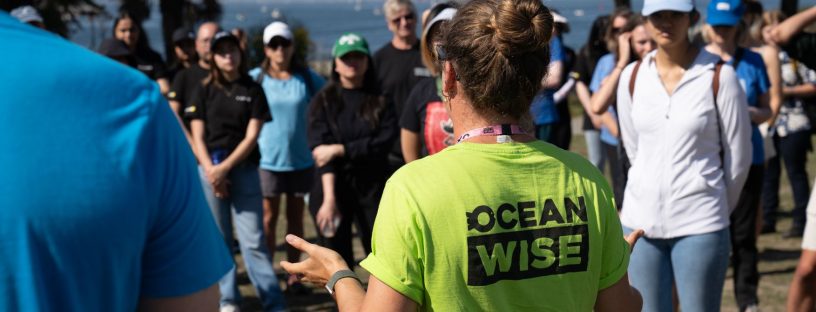 Ocean Action Grant - Ocean Wise