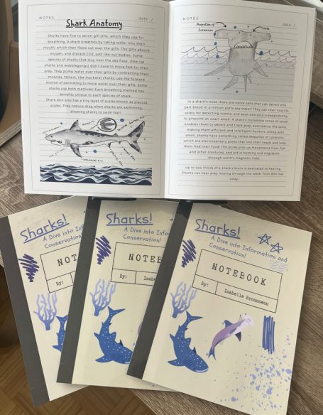 Sharks: A Dive Into Information and Conservation by Isabelle Brousseau ...