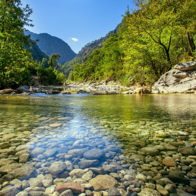 The Wonders of Water: Practical Ideas and Resources for Educators ...
