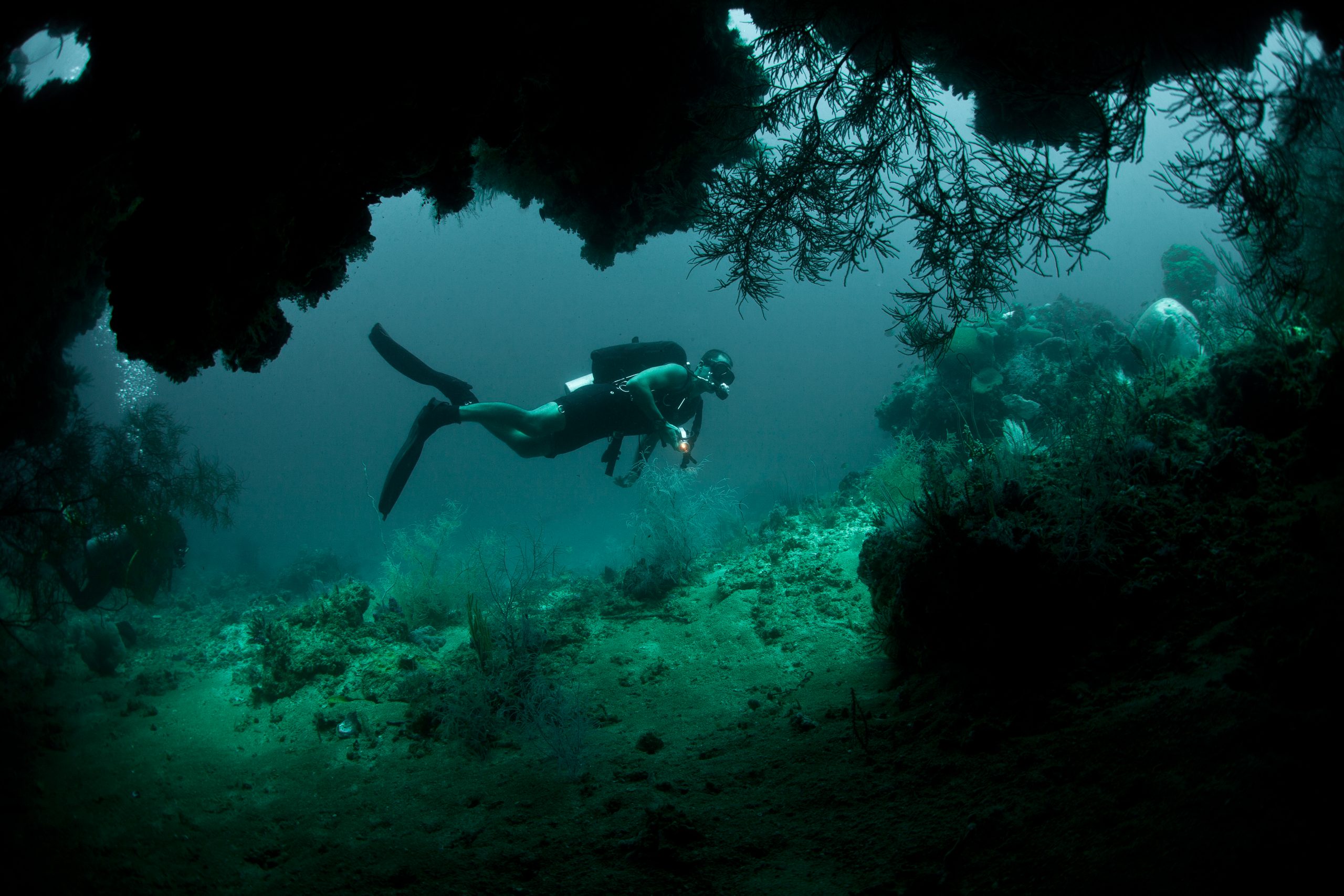 Sea Savvy: Myths and Mysteries of the Ocean - Ocean Wise