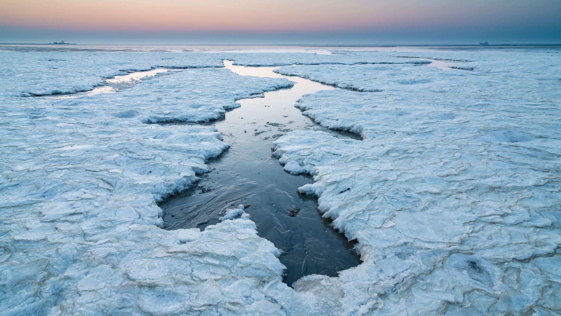 FREE Teacher ProD - Climate Change, Eco-Anxiety & Ocean Resources for ...