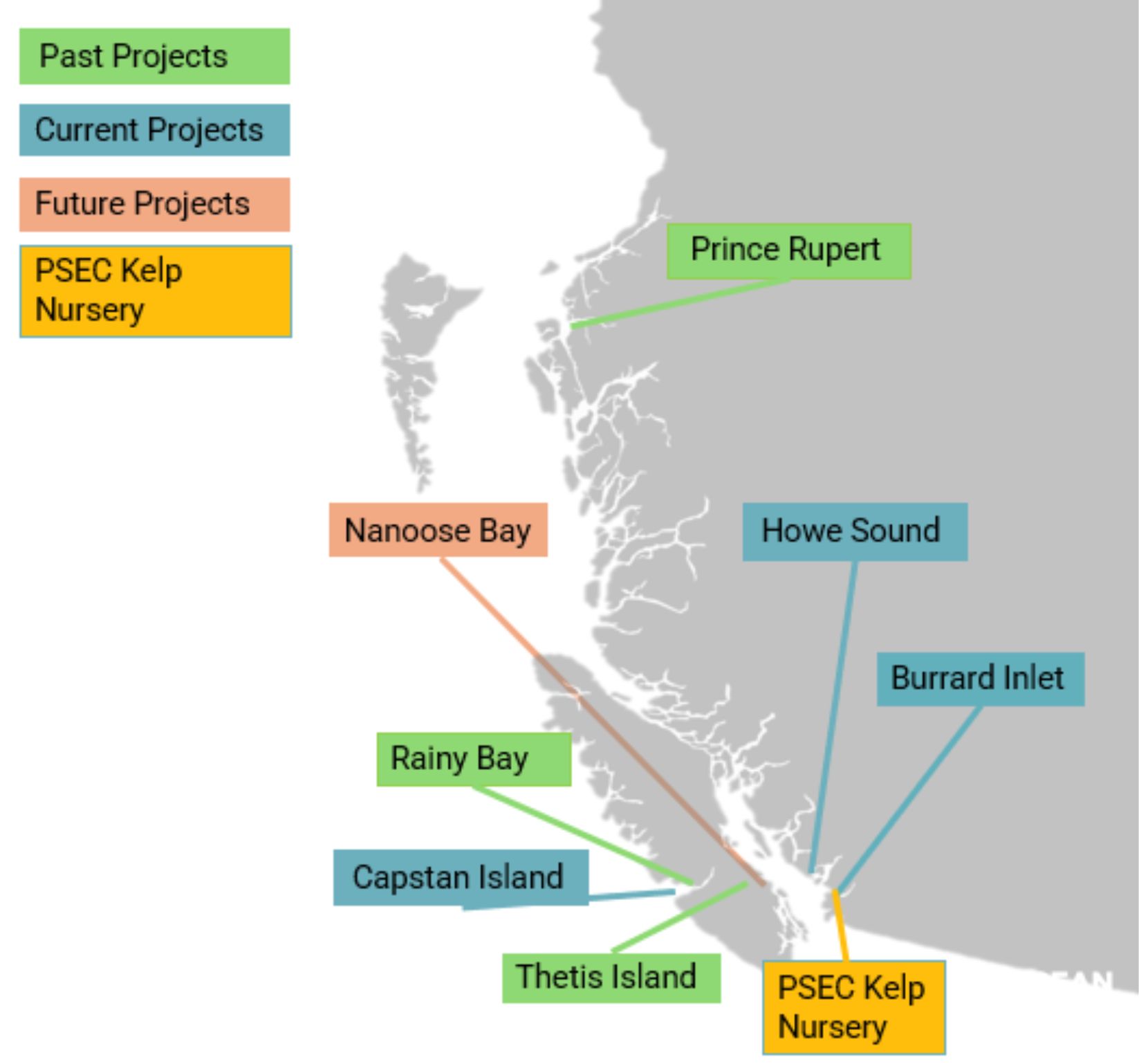 Kelp Restoration Projects - Ocean Wise