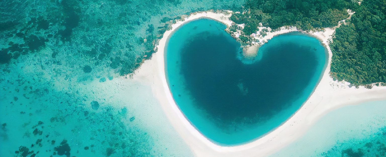 A Love Letter to the Ocean: Five Ways to Show You Care - Ocean Wise