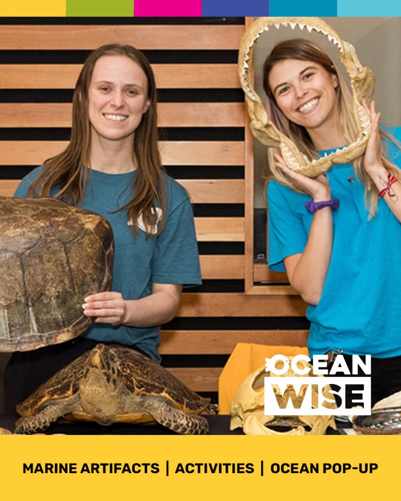 Ocean Wise Mobile Education - Social Media Toolkit - Ocean Wise