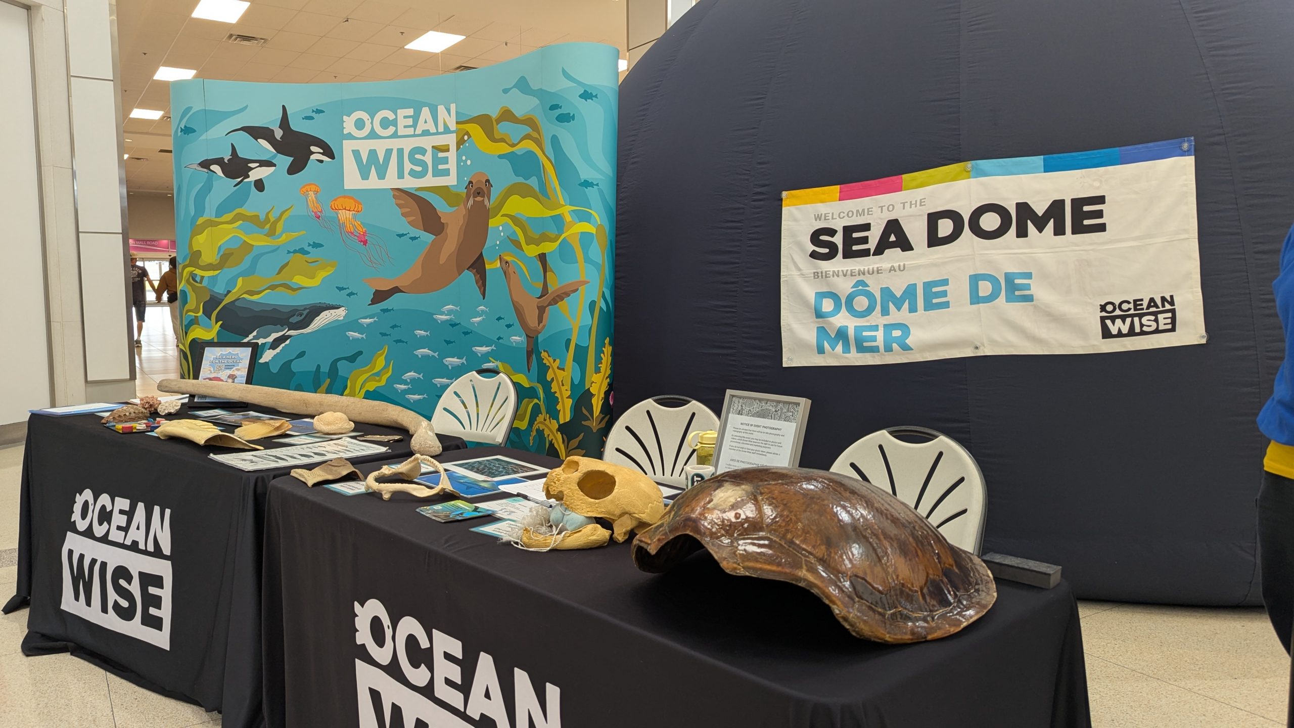 The Ocean Wise Sea Dome has arrived in Quebec - Ocean Wise