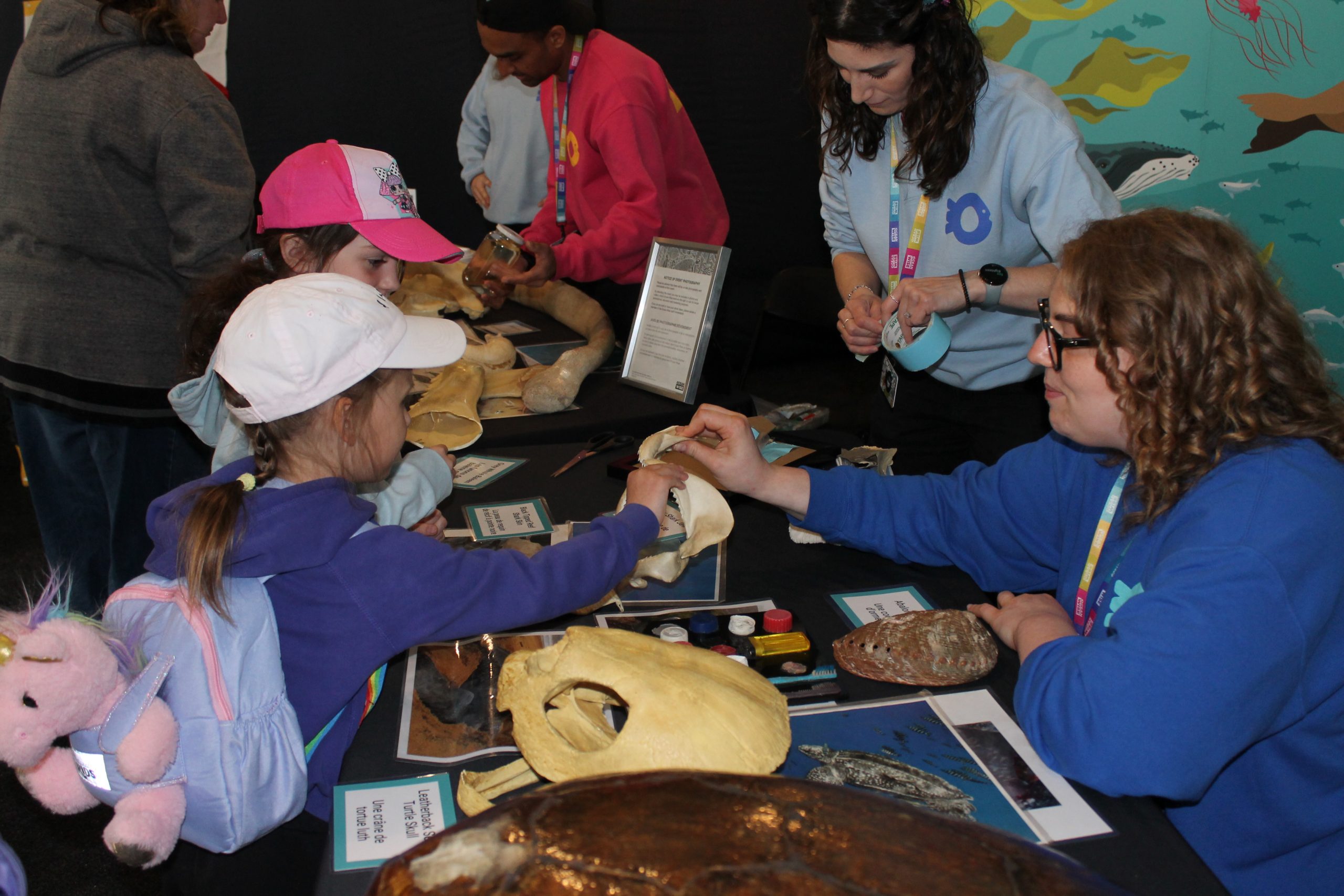 World Rivers Day with Ocean Wise - Ocean Wise