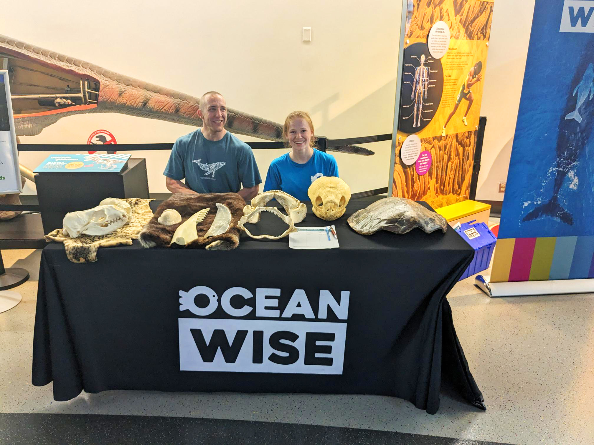 Visit Ocean Wise at Science World - Ocean Wise
