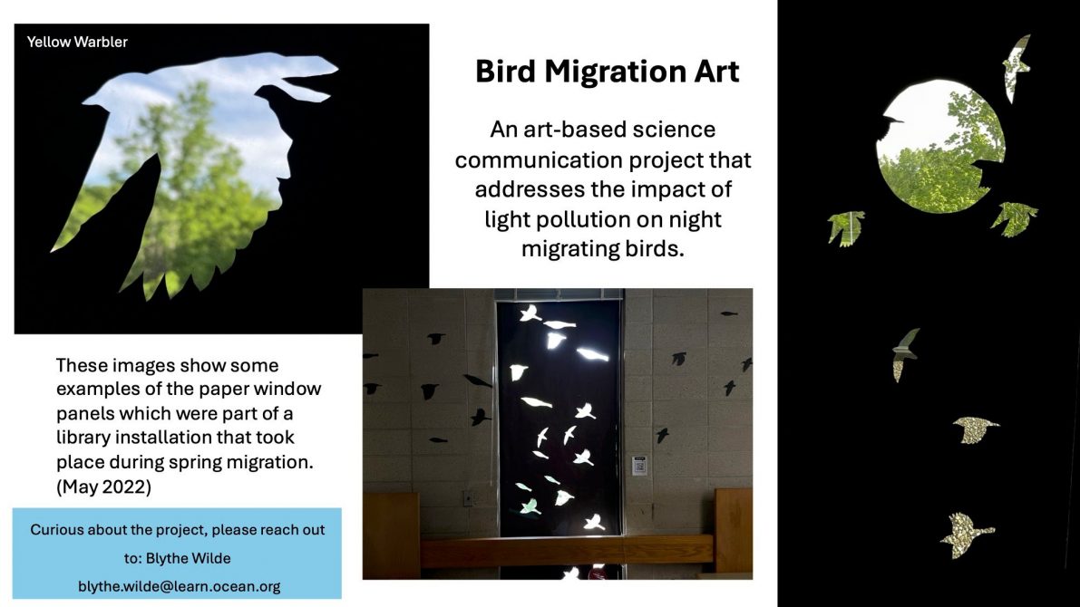 Bird Migration Art: Mitigating the Impacts of Light Pollution - Ocean Wise