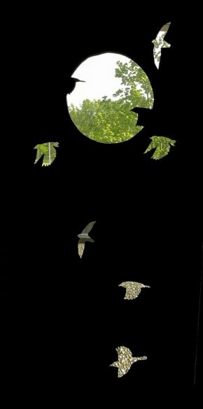 Bird Migration Art: Mitigating the Impacts of Light Pollution - Ocean Wise